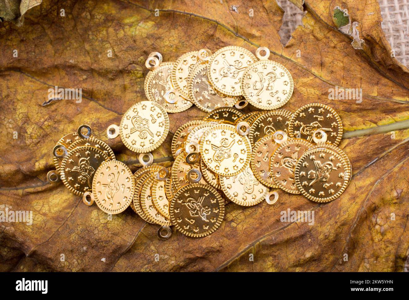 Plenty of fake gold coins are on a dry leaf Stock Photo - Alamy