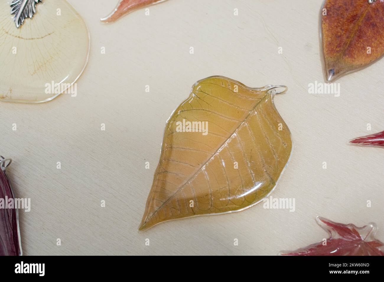 Pendant with beautiful dry leaf inside resin Stock Photo - Alamy