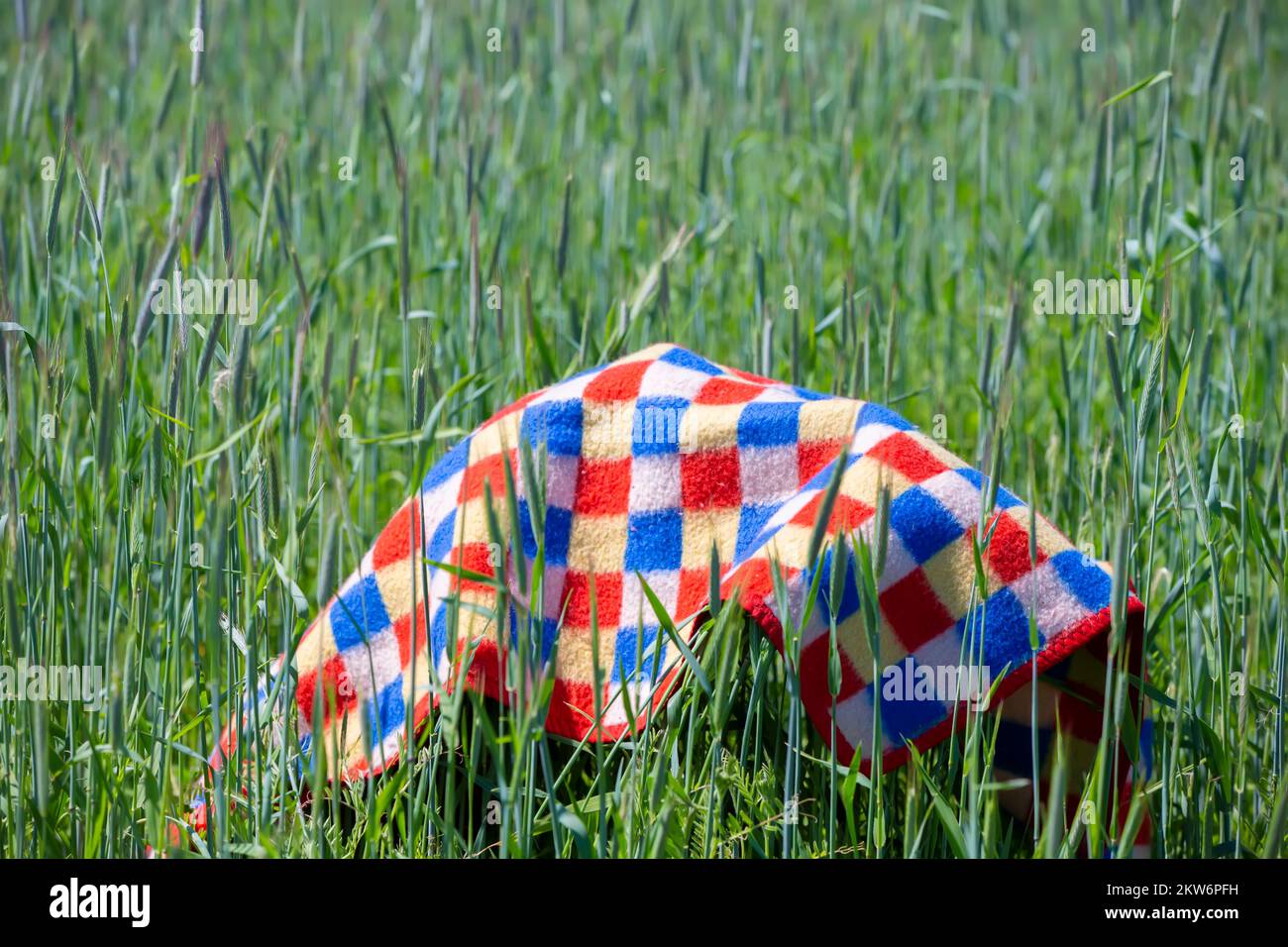 On the green meadow grass lies a blanket in a cage. Preparing for a ...