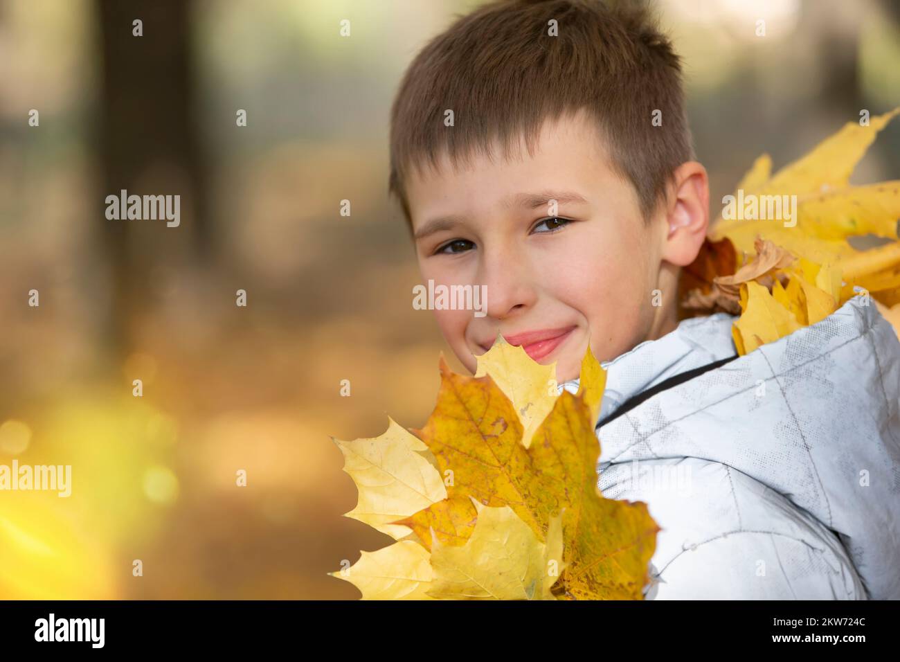 Autumn portrait of a child in autumn yellow leaves.Beautiful child in ...