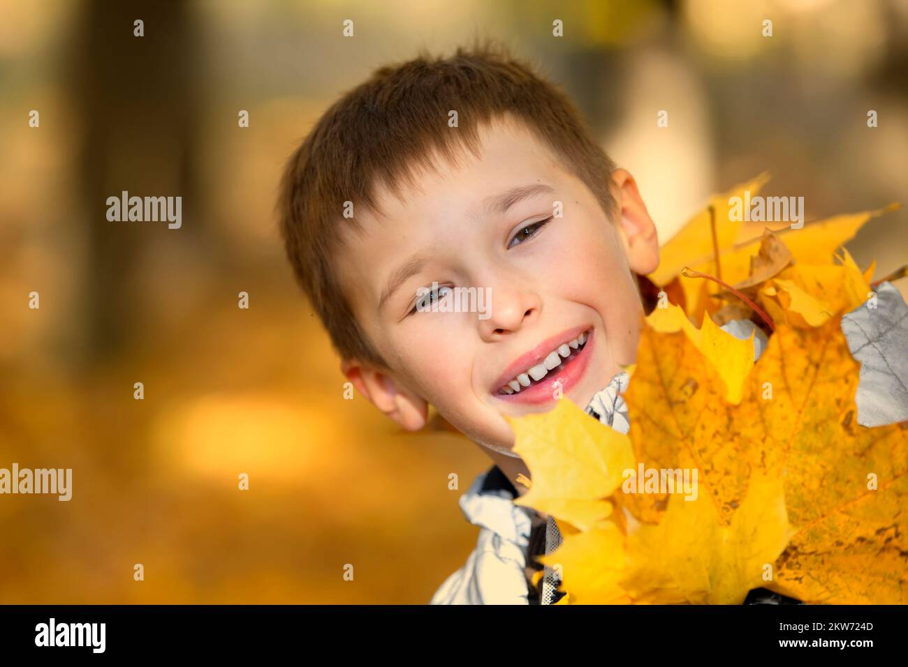 Autumn portrait of a child in autumn yellow leaves.Beautiful child in ...
