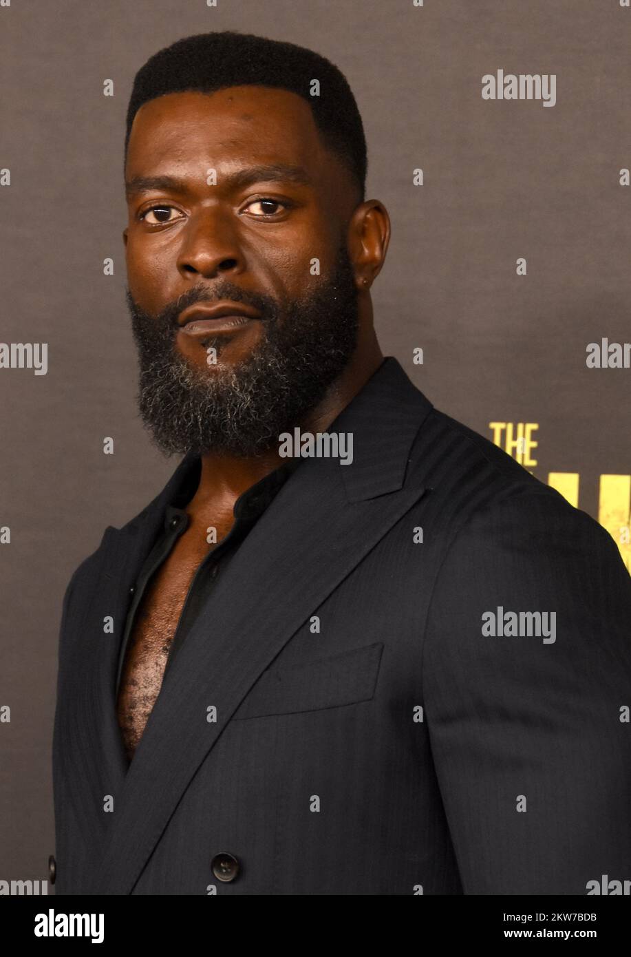 Los Angeles, California, USA 20th November 2022 Actor Michael James ...
