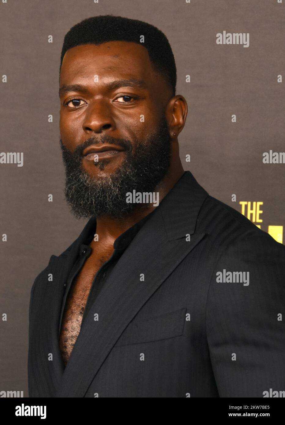 Los Angeles, California, USA 20th November 2022 Actor Michael James Shaw and guest attend The ...