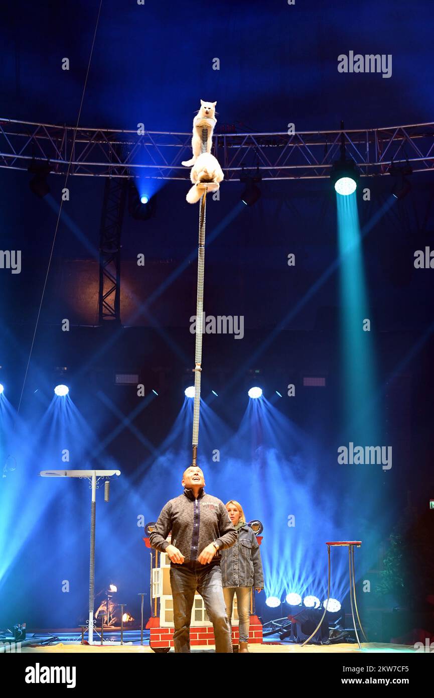 Cologne, Germany. 29th Nov, 2022. Cat show of Vlad Ullander poses in ...