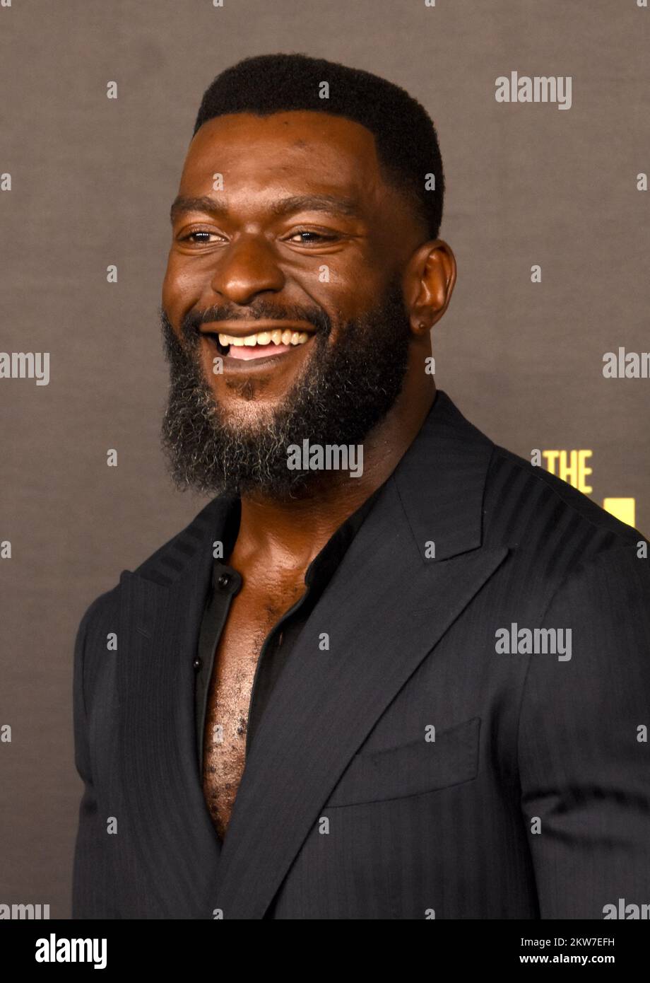 Los Angeles, California, USA 20th November 2022 Actor Michael James ...