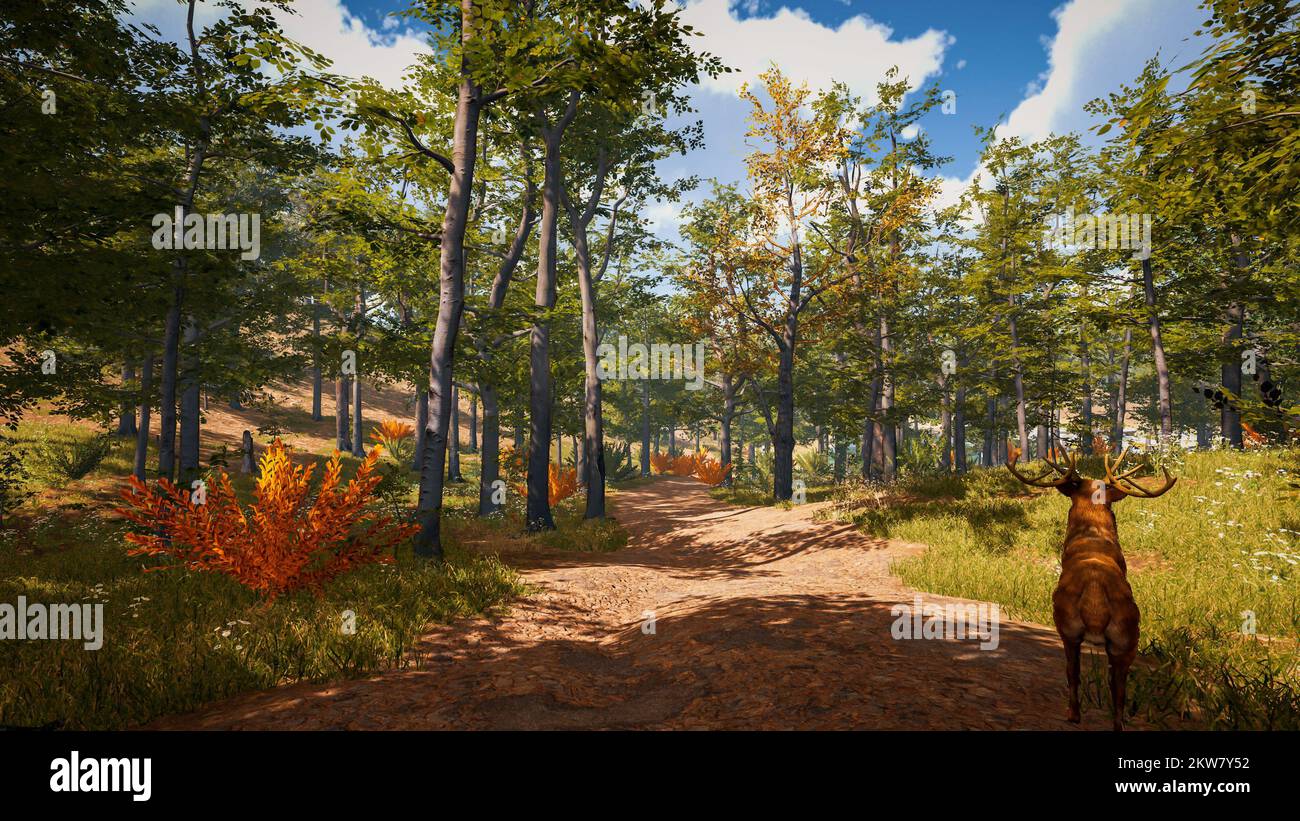 3D rendering. An immersive natural environment. Landscape to illustrate ...