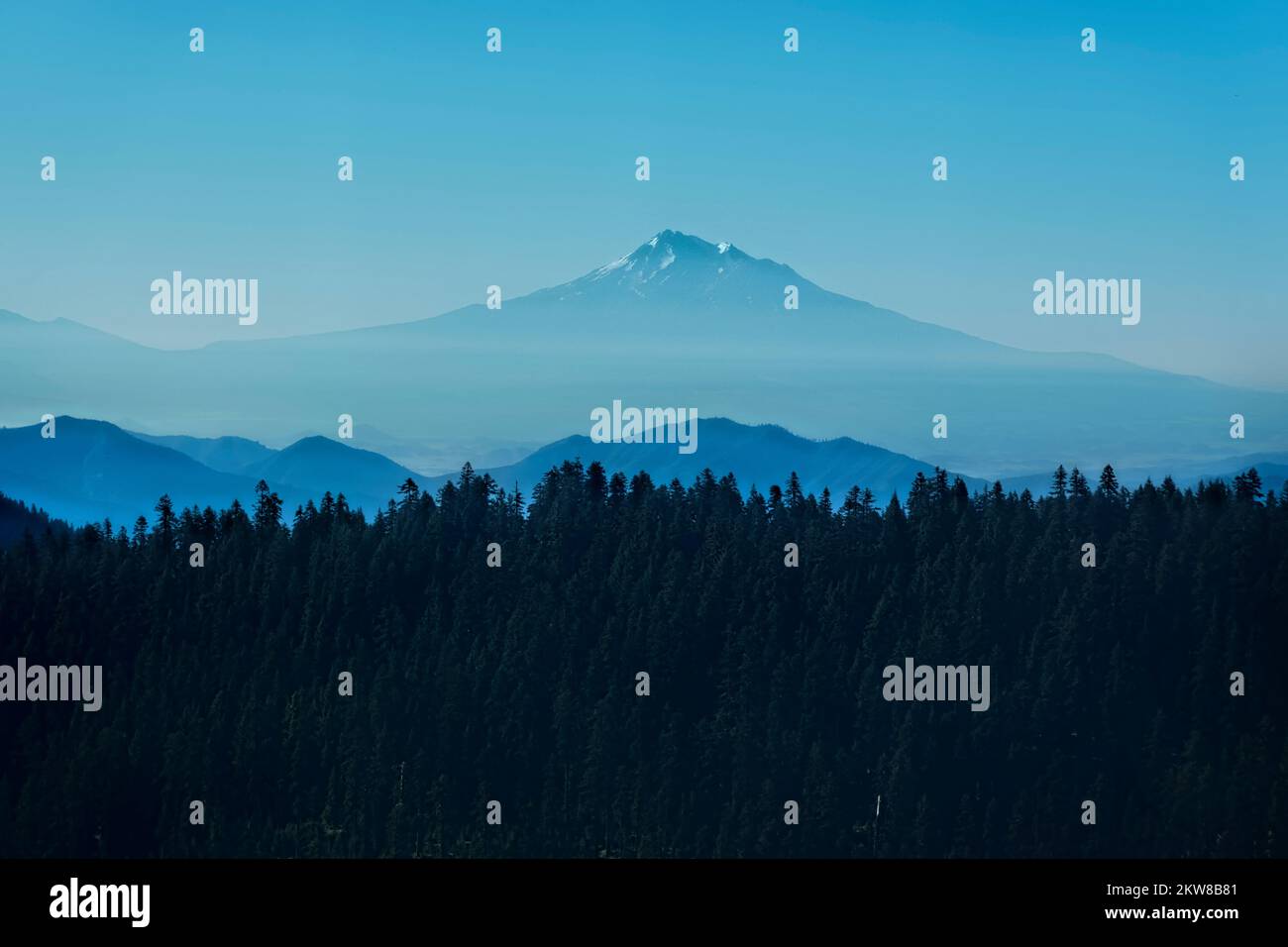 Mount Shasta view, Pacific Crest Trail, California, USA Stock Photo - Alamy