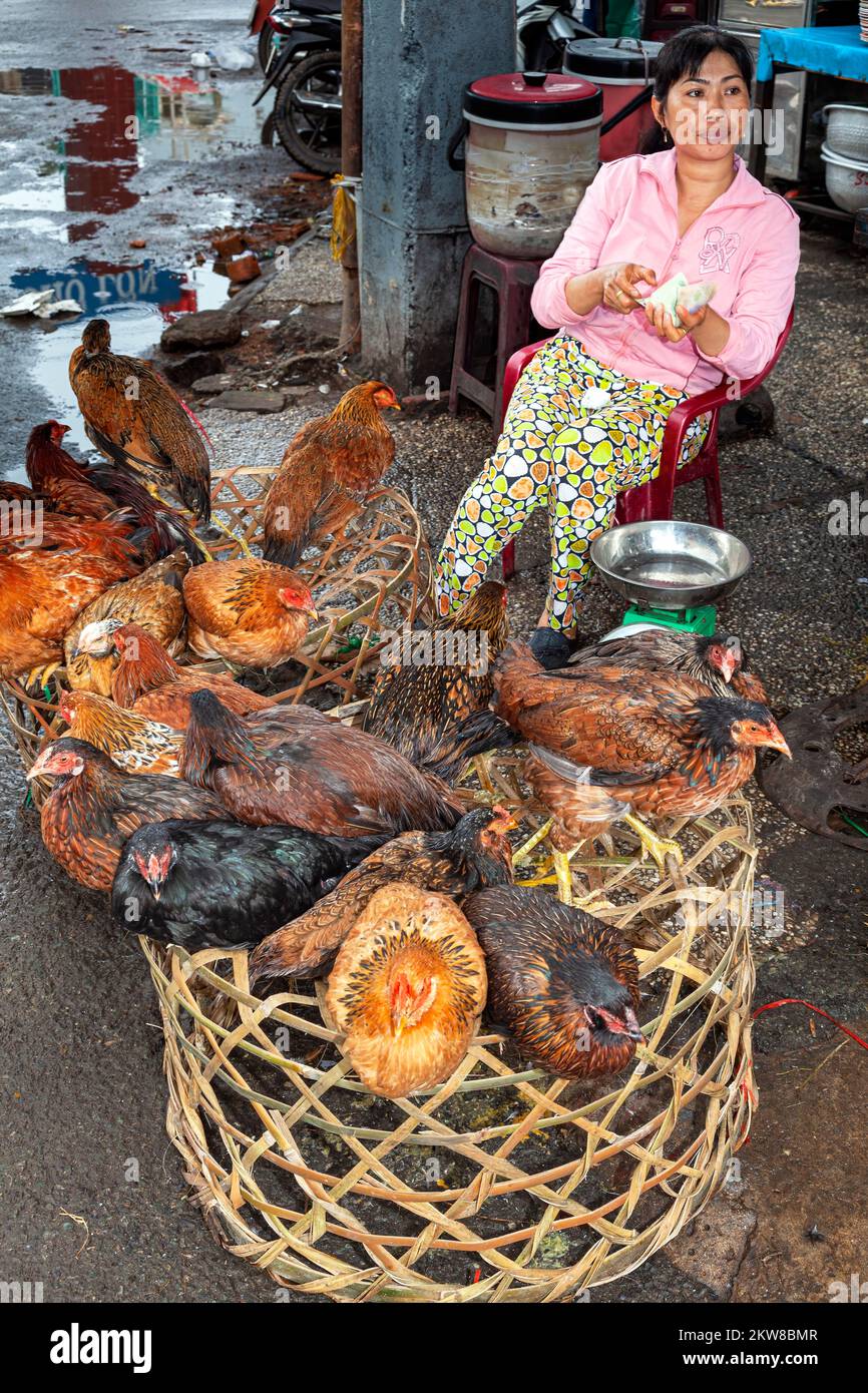 Woman vietnam farmer chickens hi-res stock photography and images - Alamy
