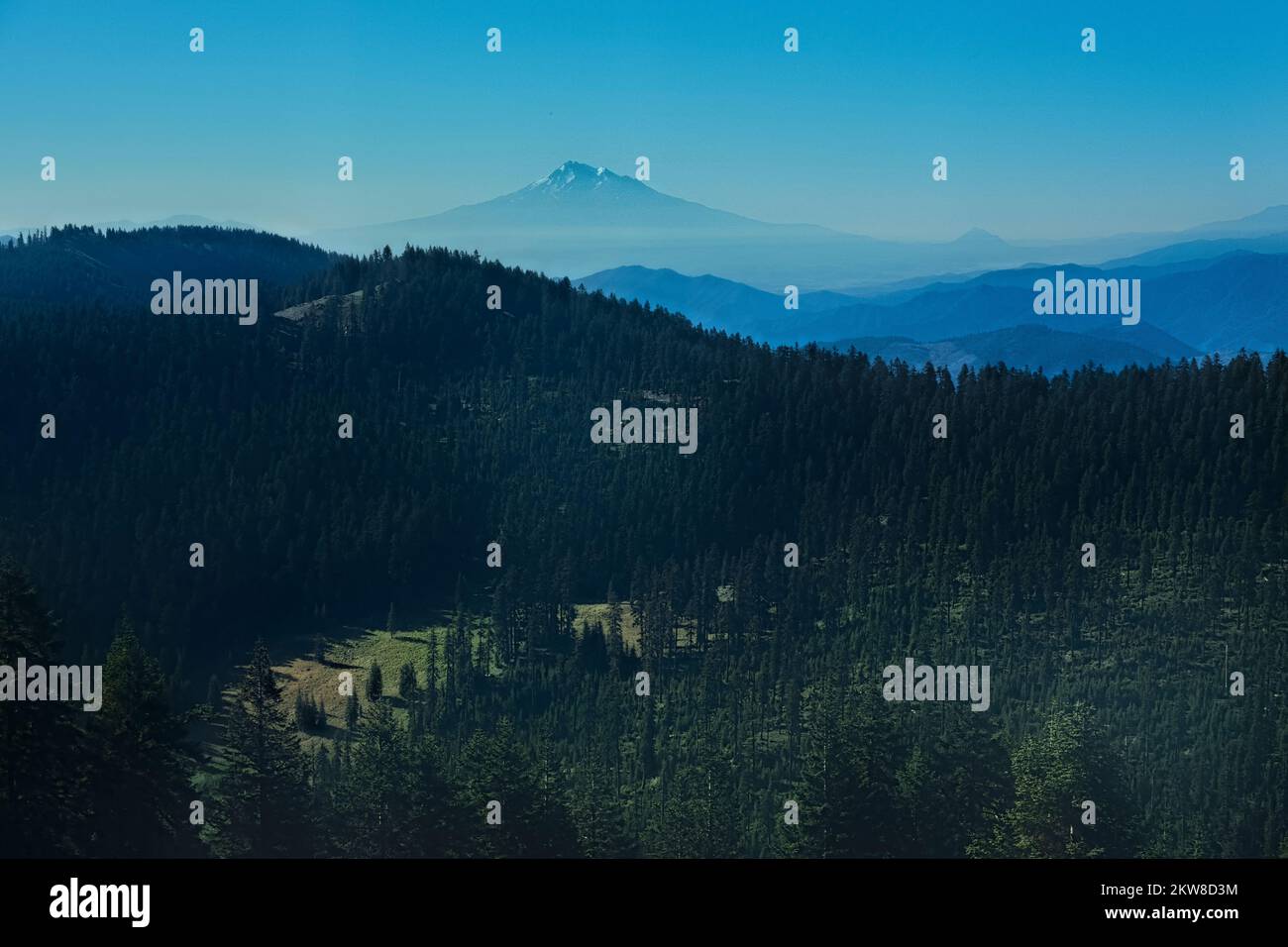 Mount Shasta view, Pacific Crest Trail, California, USA Stock Photo - Alamy