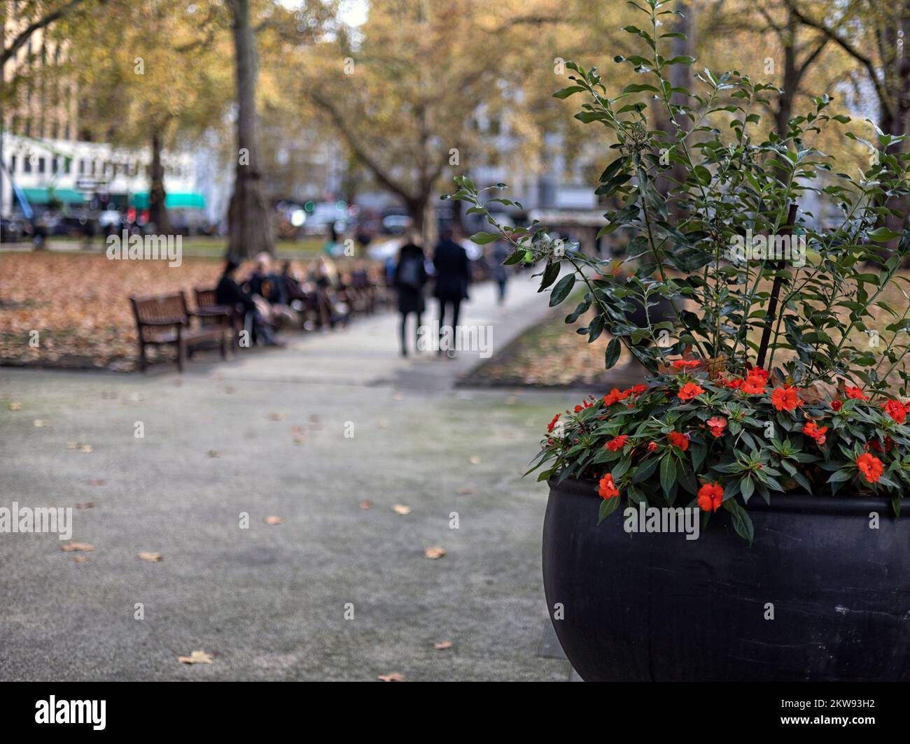 LONDON, UK - NOVEMBER 16, 2022: Flower display at the entrance to ...