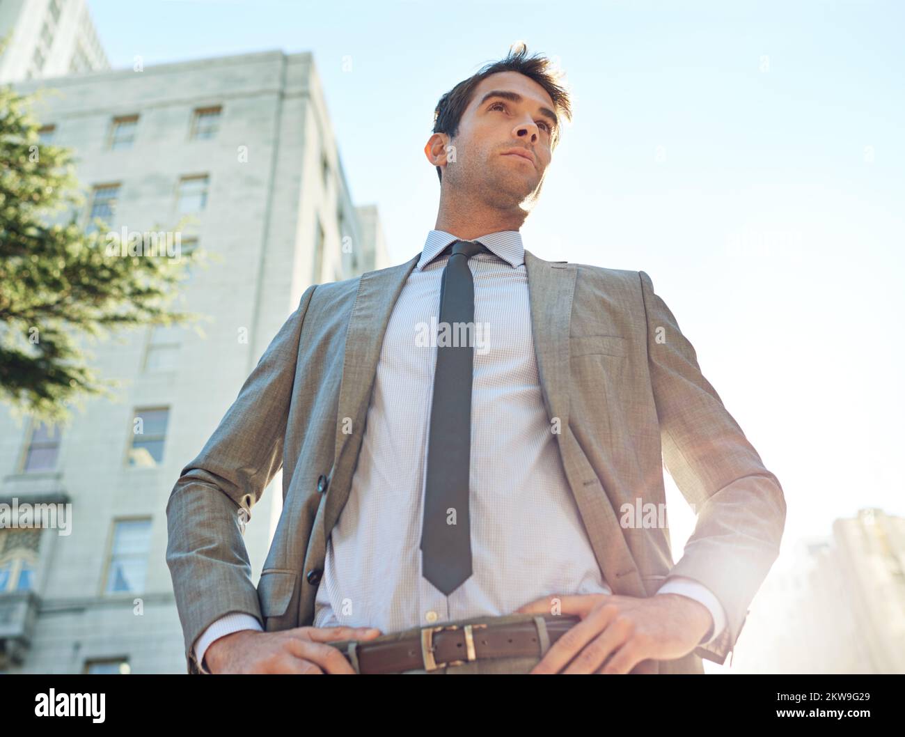 Powerful businessman in suit hi-res stock photography and images - Alamy