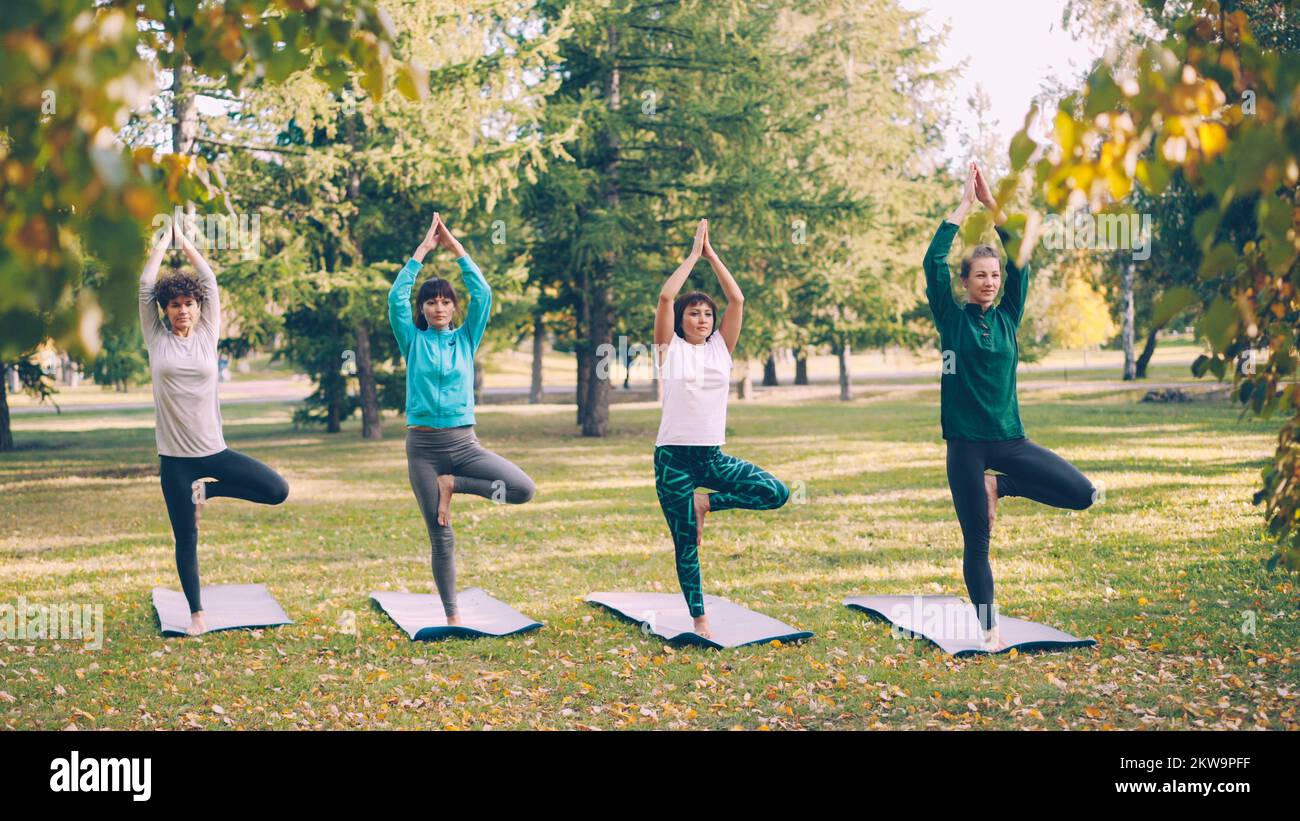 Concentrated young ladies yogini are balancing on one leg with raised ...