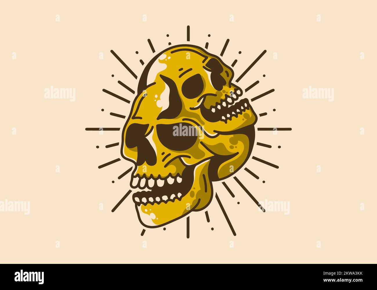Male and female human skulls Stock Vector Images - Alamy
