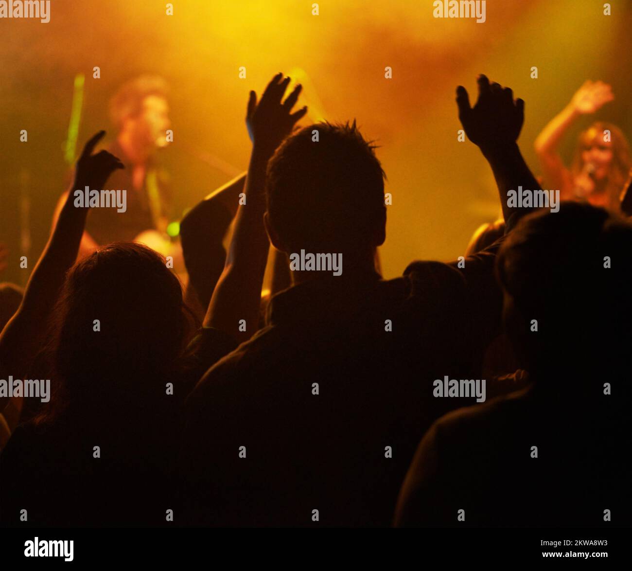 Music is the best when its live. adoring fans at a rock concert Stock ...