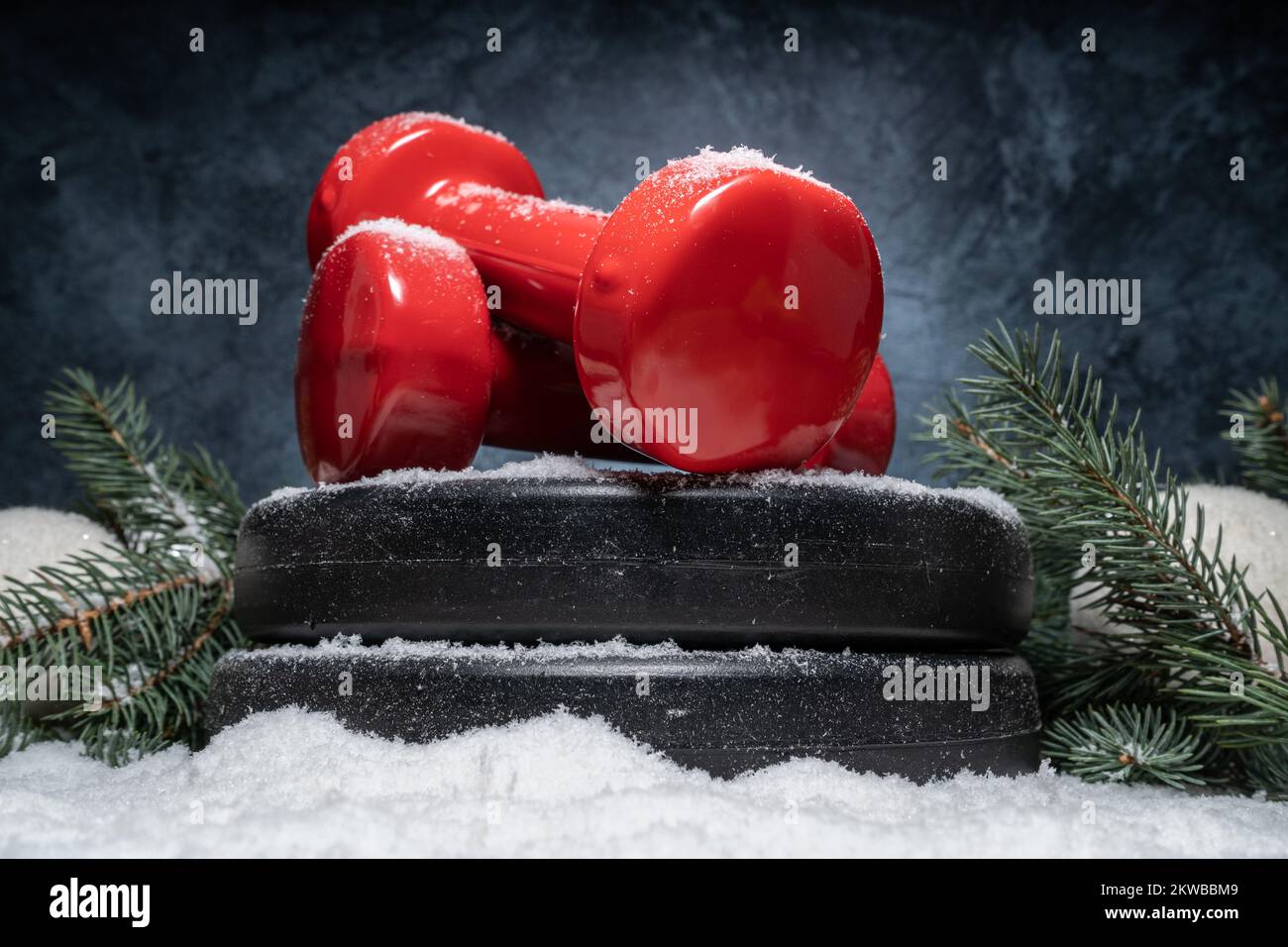 Dumbbells on barbell weight plates, Christmas tree branches on snow ...