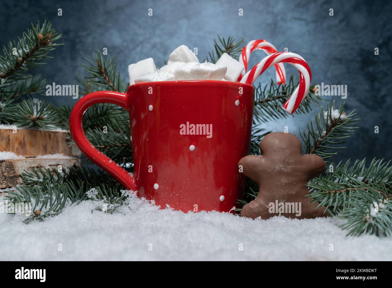 Hot chocolate cocoa with marshmallows, candy canes, gingerbread man ...