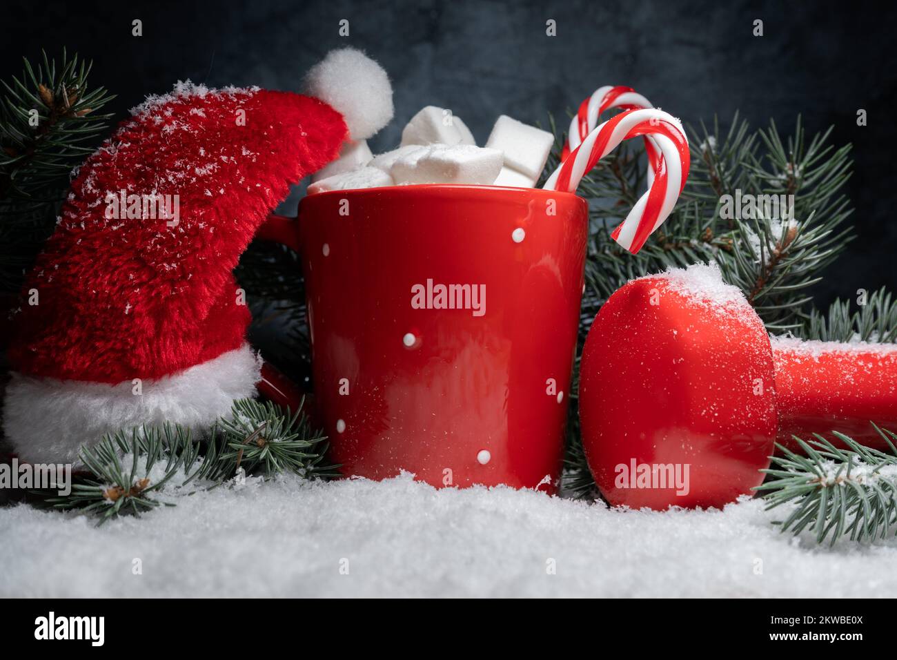 Hot chocolate or cocoa with marshmallows and candy canes, red gym ...