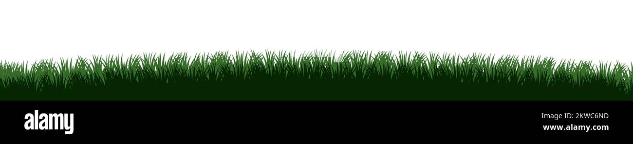 Grass. Nature rural landscape. Pasture overgrown. Overgrown dense lawn ...