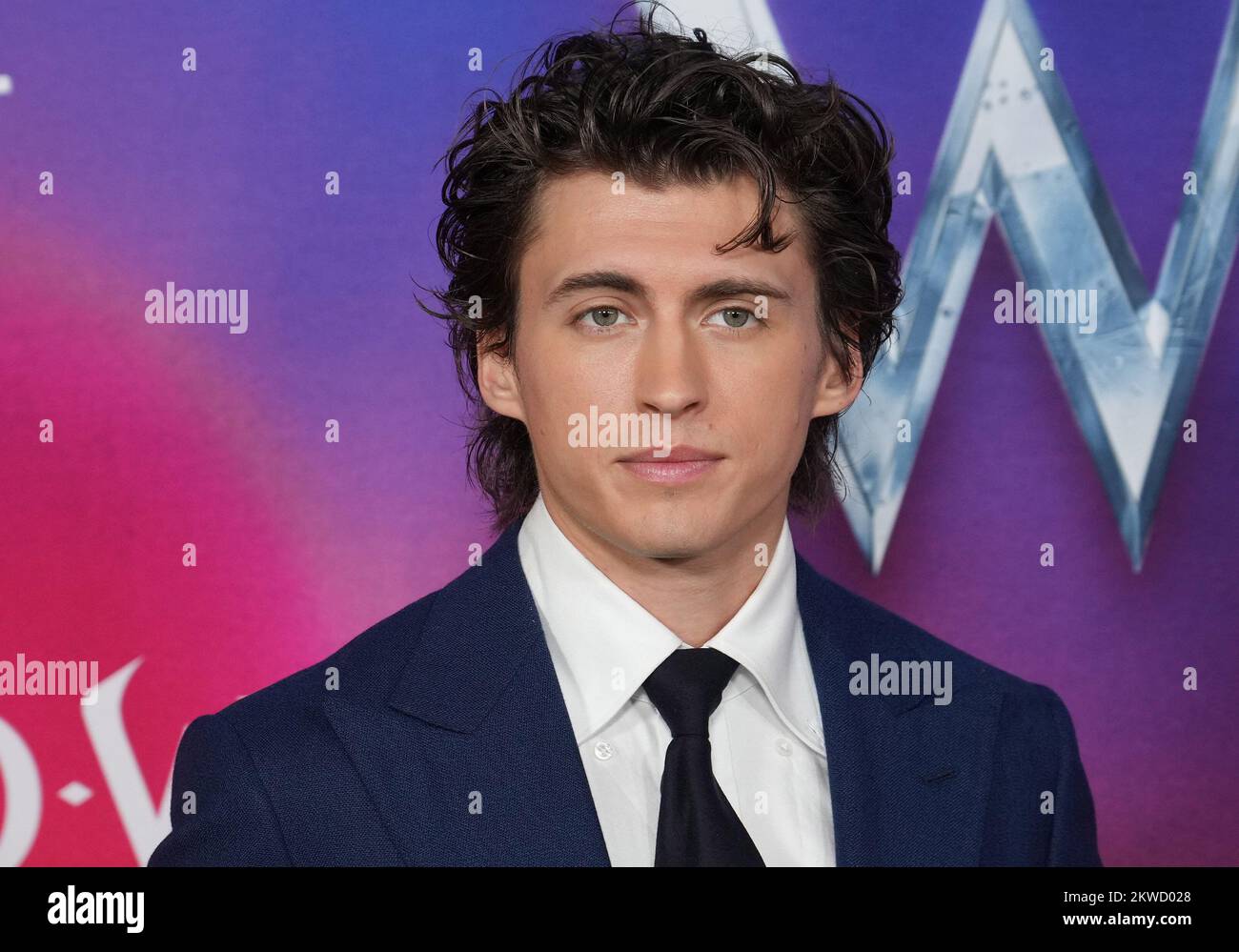 Los Angeles, USA. 29th Nov, 2022. Dempsey Bryk arrives at the WILLOW ...