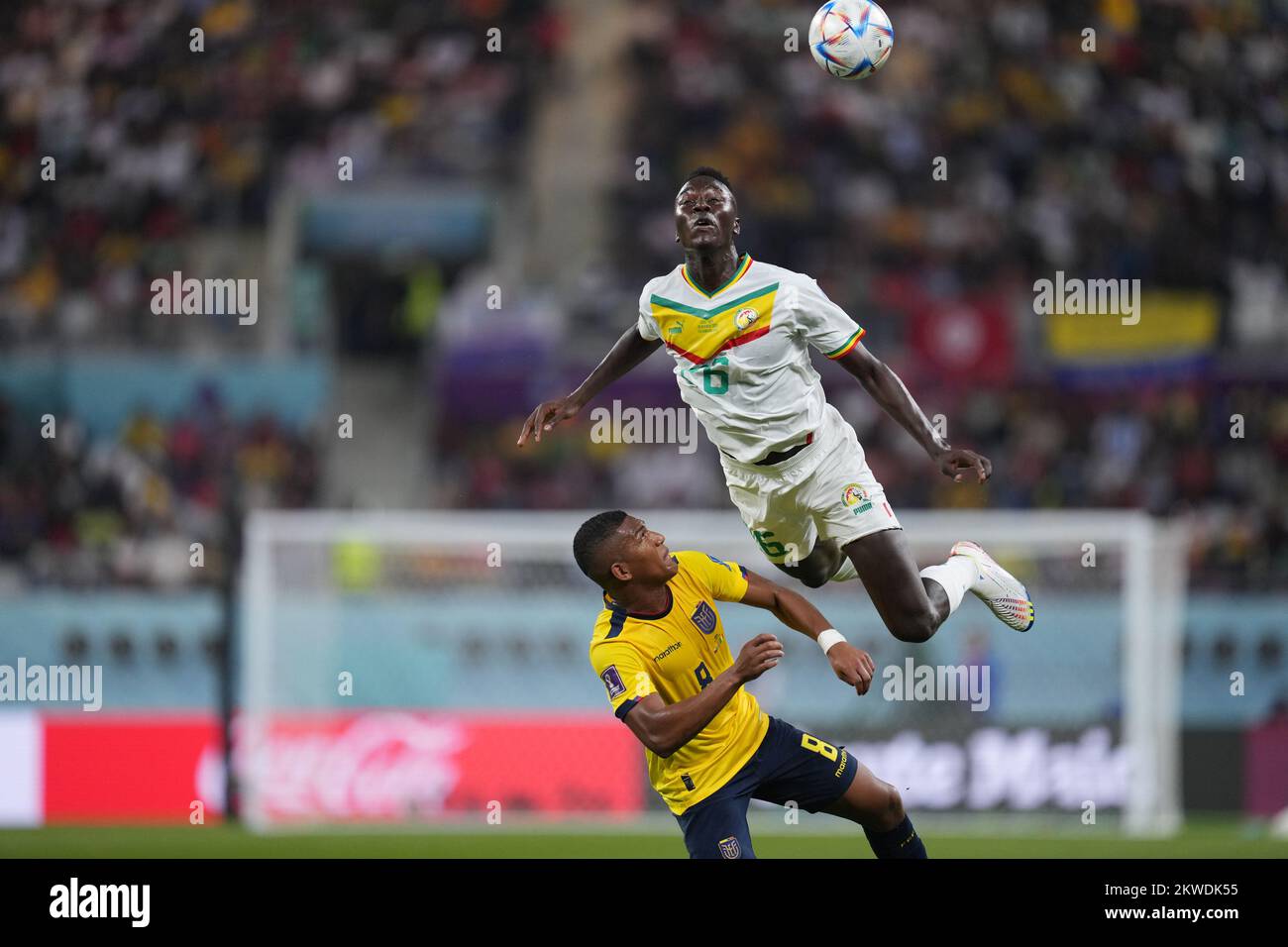 Al Rayyan, Qatar. 29th Nov, 2022. (L to R) Carlos Gruezo (ECU), Nampalys Mendy (SEN) Football ...