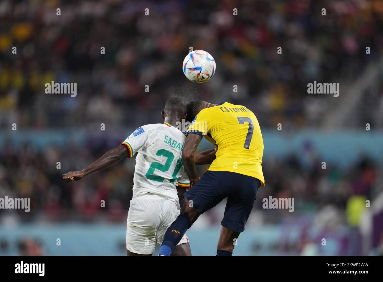 Ecu sen 2022 hi-res stock photography and images - Alamy