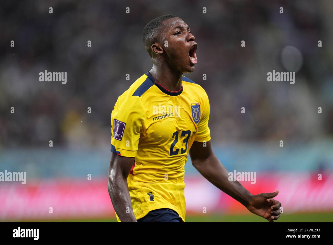 Al Rayyan, Qatar. 29th Nov, 2022. Moises Caicedo (ECU) Football/Soccer ...
