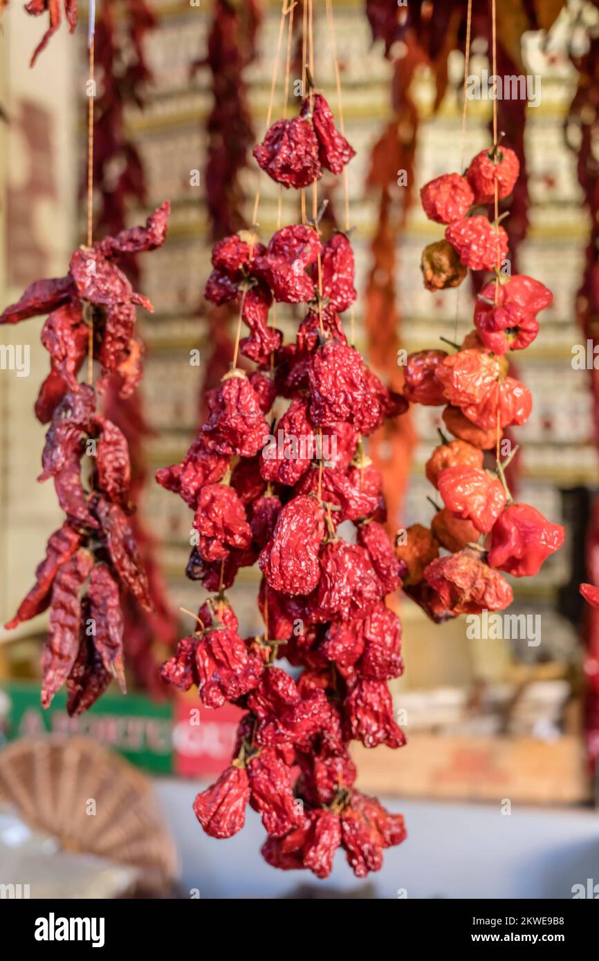 colorful red chili peppers hanging on sale at covered market, shot in ...