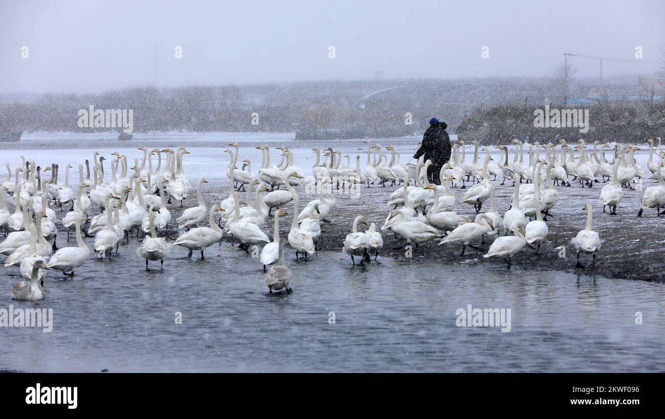 Weihai hi-res stock photography and images - Alamy