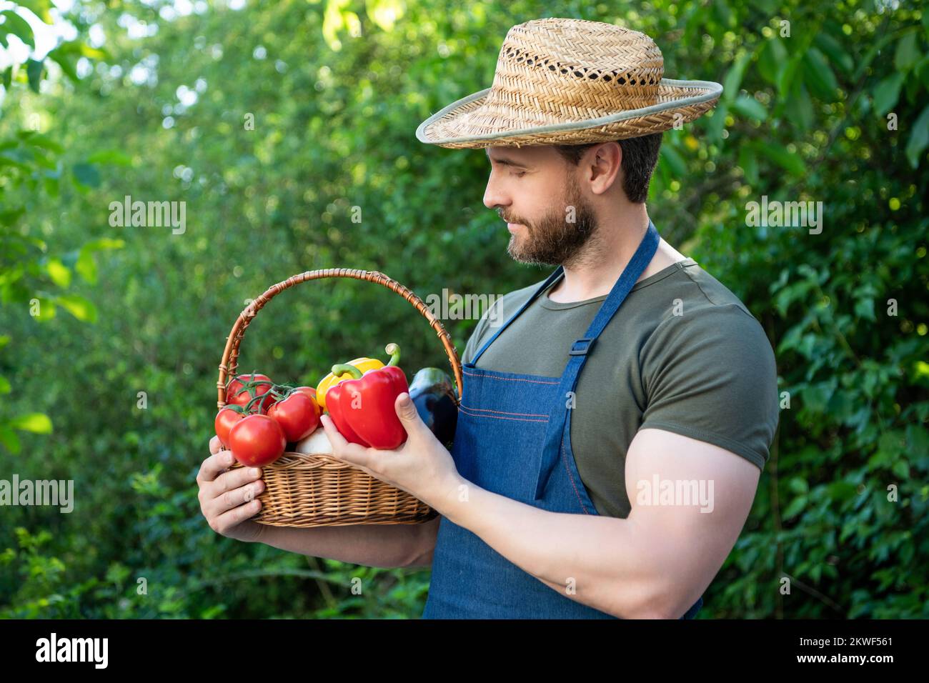 man in straw hat hold basket full of ripe vegetables Stock Photo - Alamy
