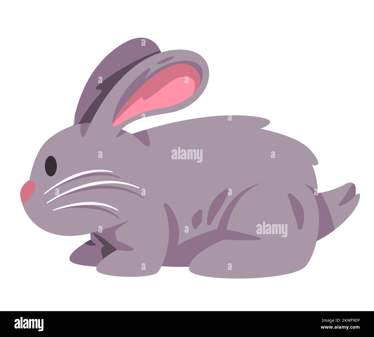 Rabbits bunnies or bunny cute adorable animal with furry hair in grey ...