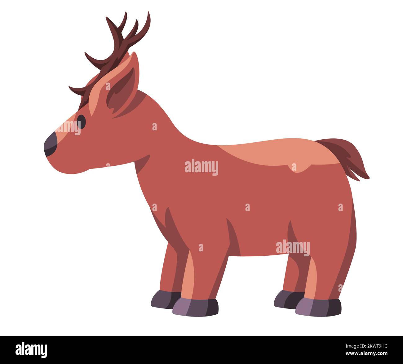 Deer cute adorable small elk with horn brown skin friendly funny baby ...