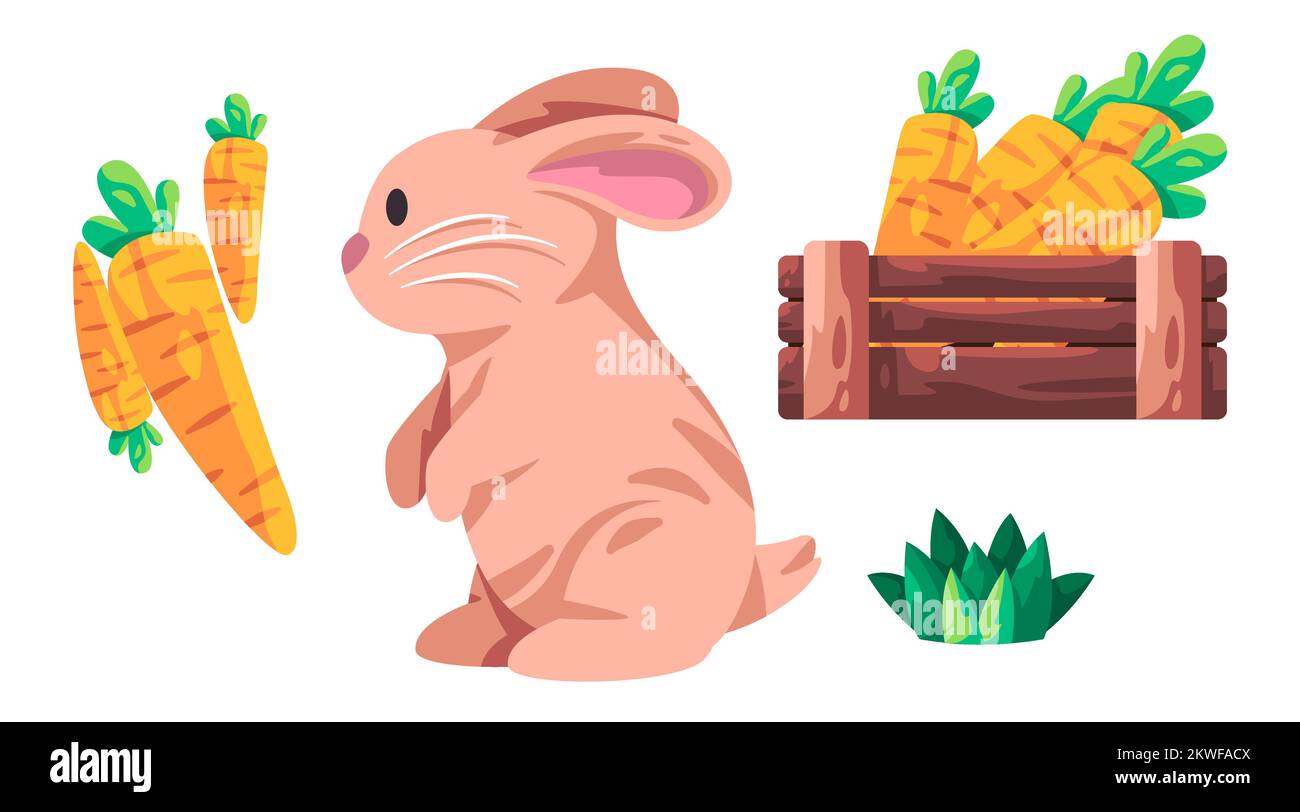 Rabbits bunnies or bunny cute adorable animal with furry hair in brown ...