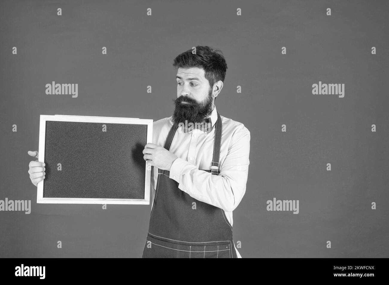 Serious bearded man in barber apron hold barbershop board red ...