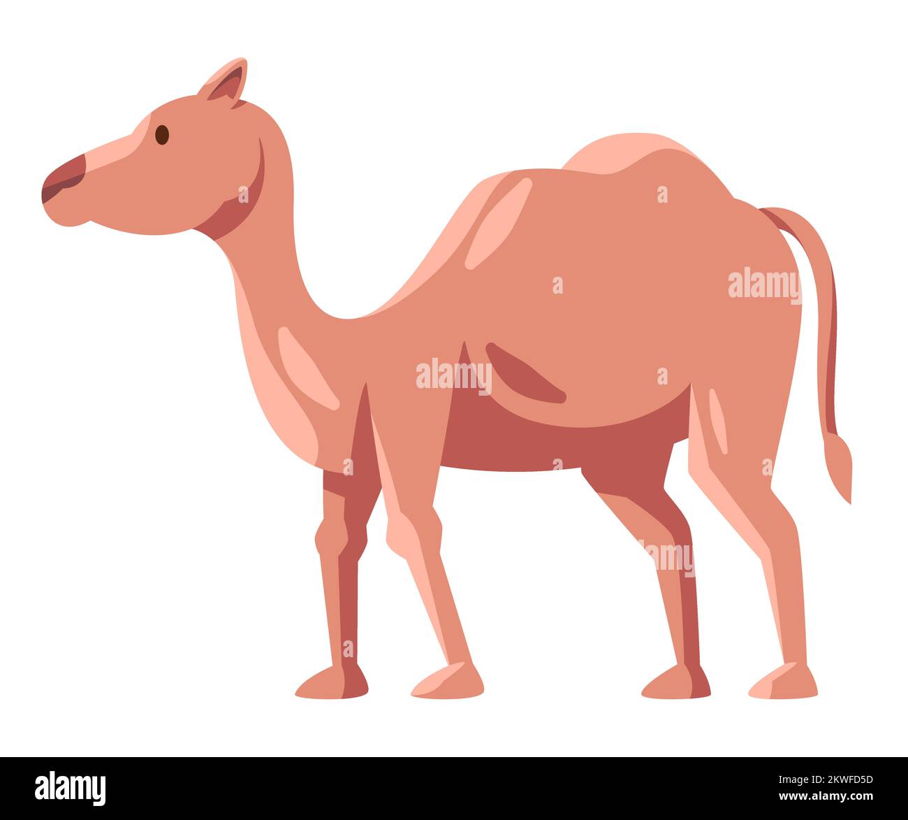 Camel standing arabian animal from african middle east cute drawing ...