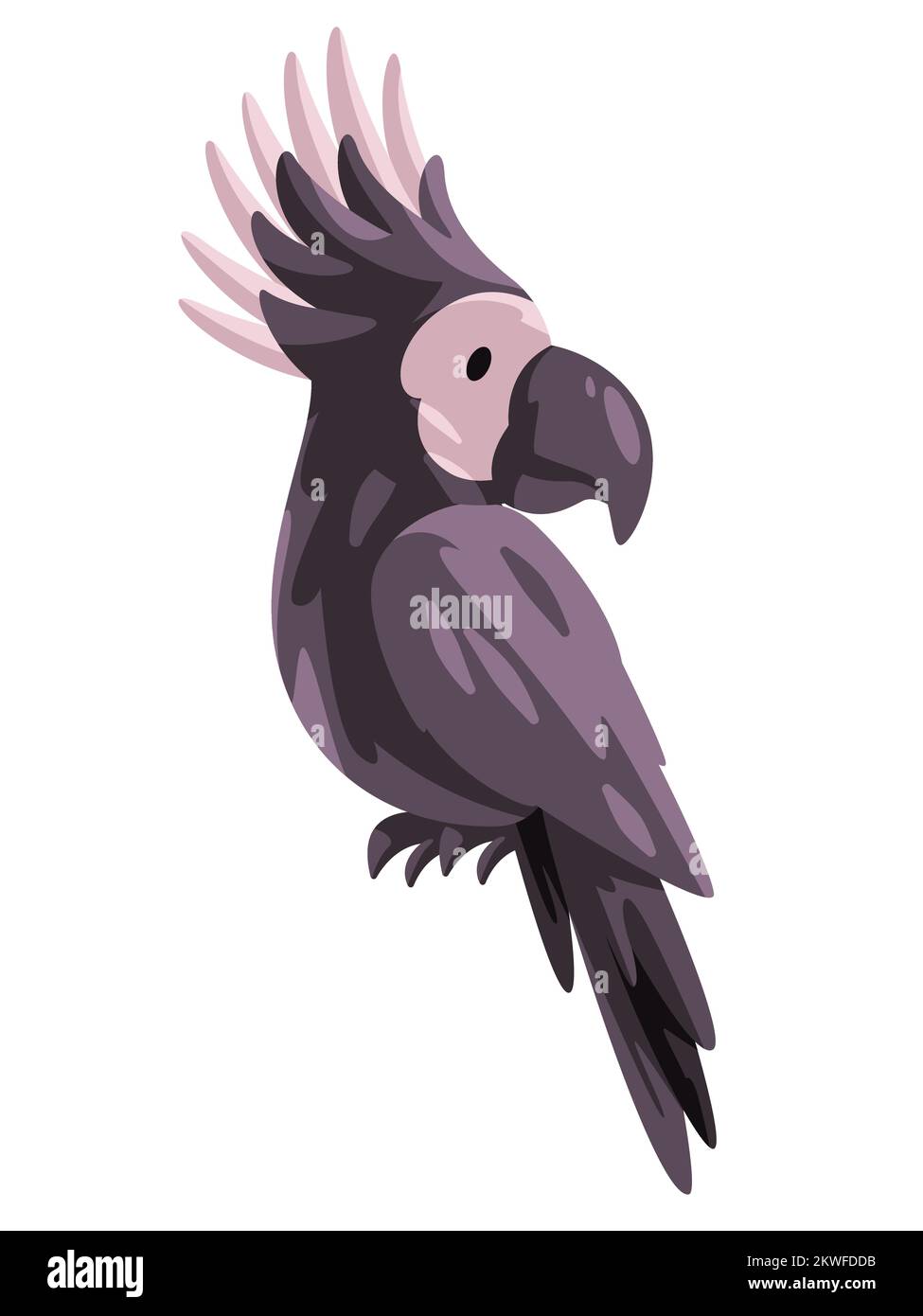 Cacatua dark parrot bird with black head animal illustration flat ...