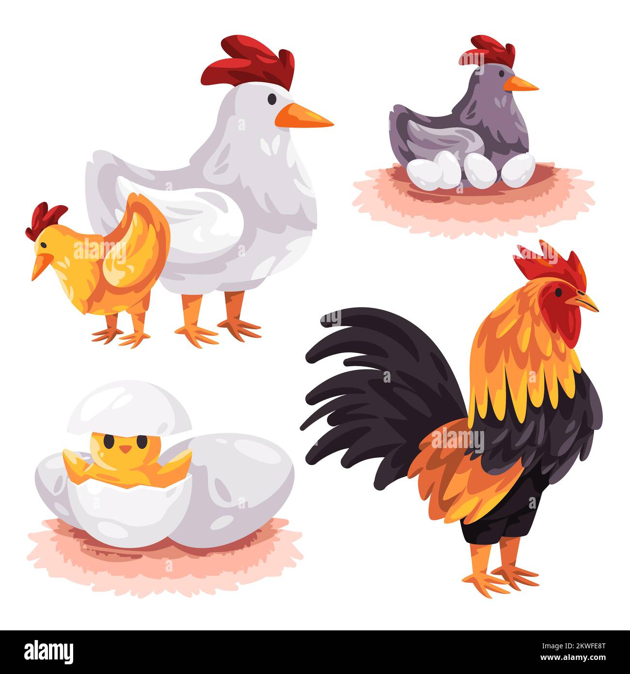 Cock cockerel chicken hen hatching illustration cartoon vector set ...