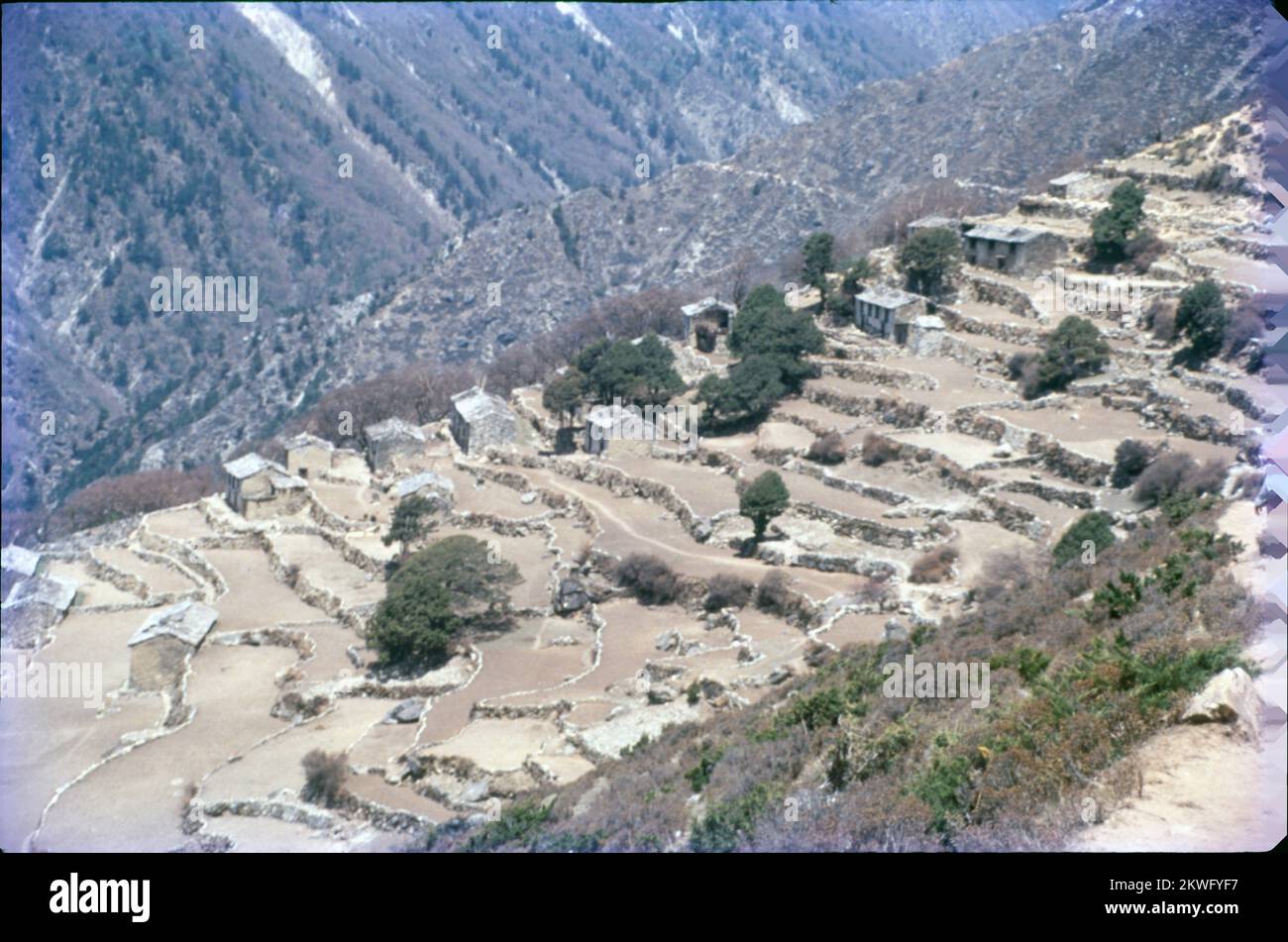 In hills, step farming, also known as terrace farming, is prevalent to ...
