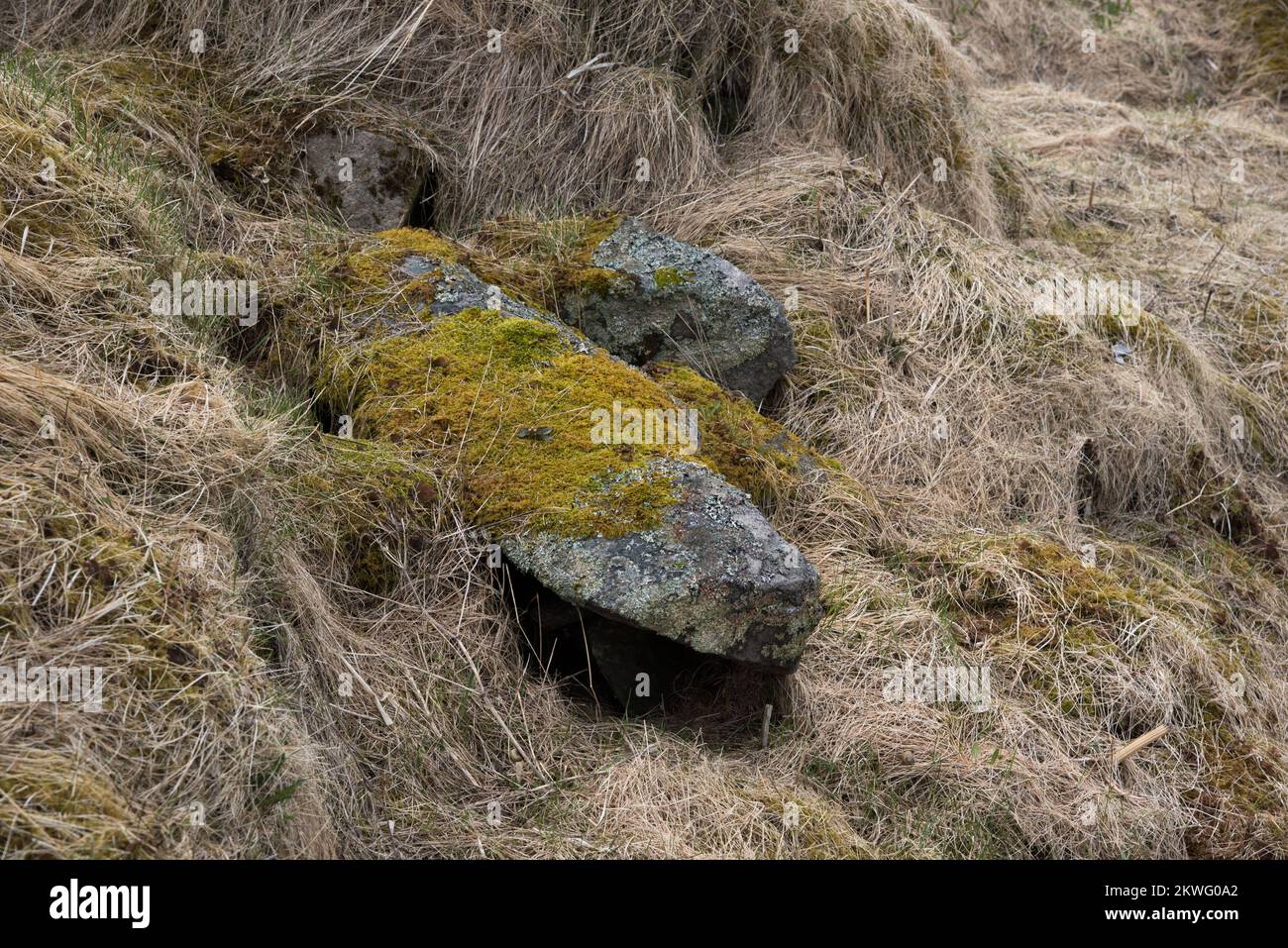 Around 400 CE the ancestors of the Vikings buried their high ranking ...