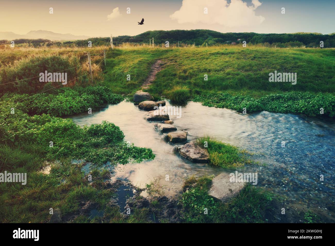 River view in Denmark nature and landscape, green environment, water ...