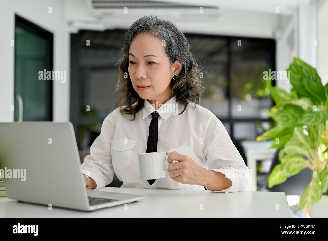 Professional Asian aged businesswoman or female CEO working in her ...