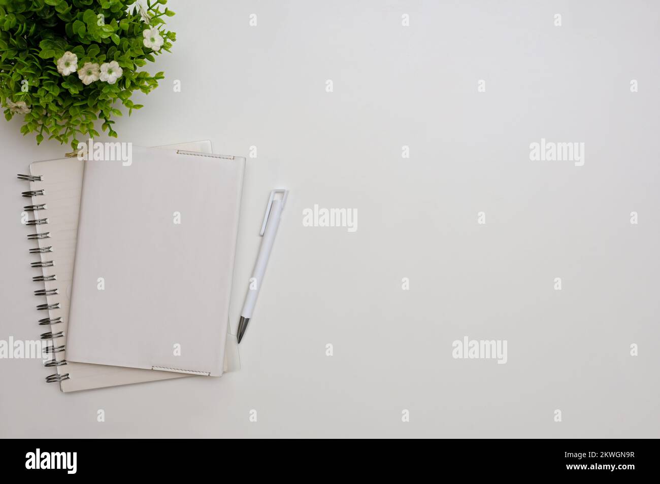 Simple white workspace tabletop with spiral notebook, pen, decor plant ...