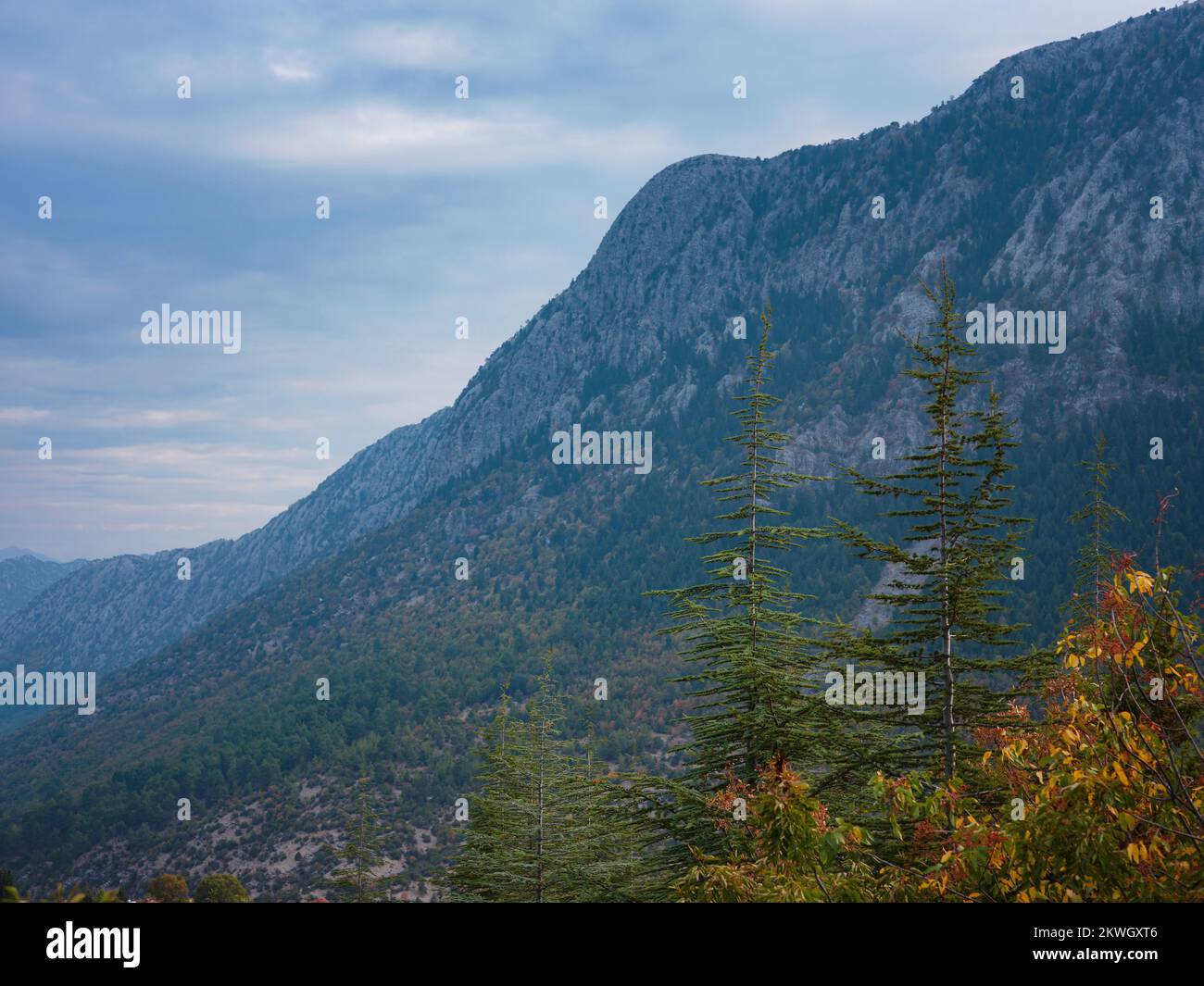 Ormana town hi-res stock photography and images - Alamy