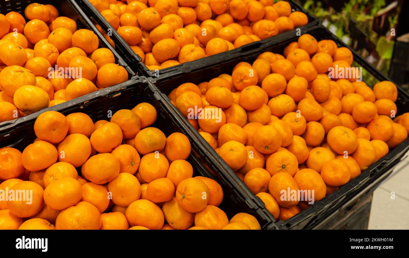 Showcase with range of fruits in supermarket. Sale of food. Retail ...