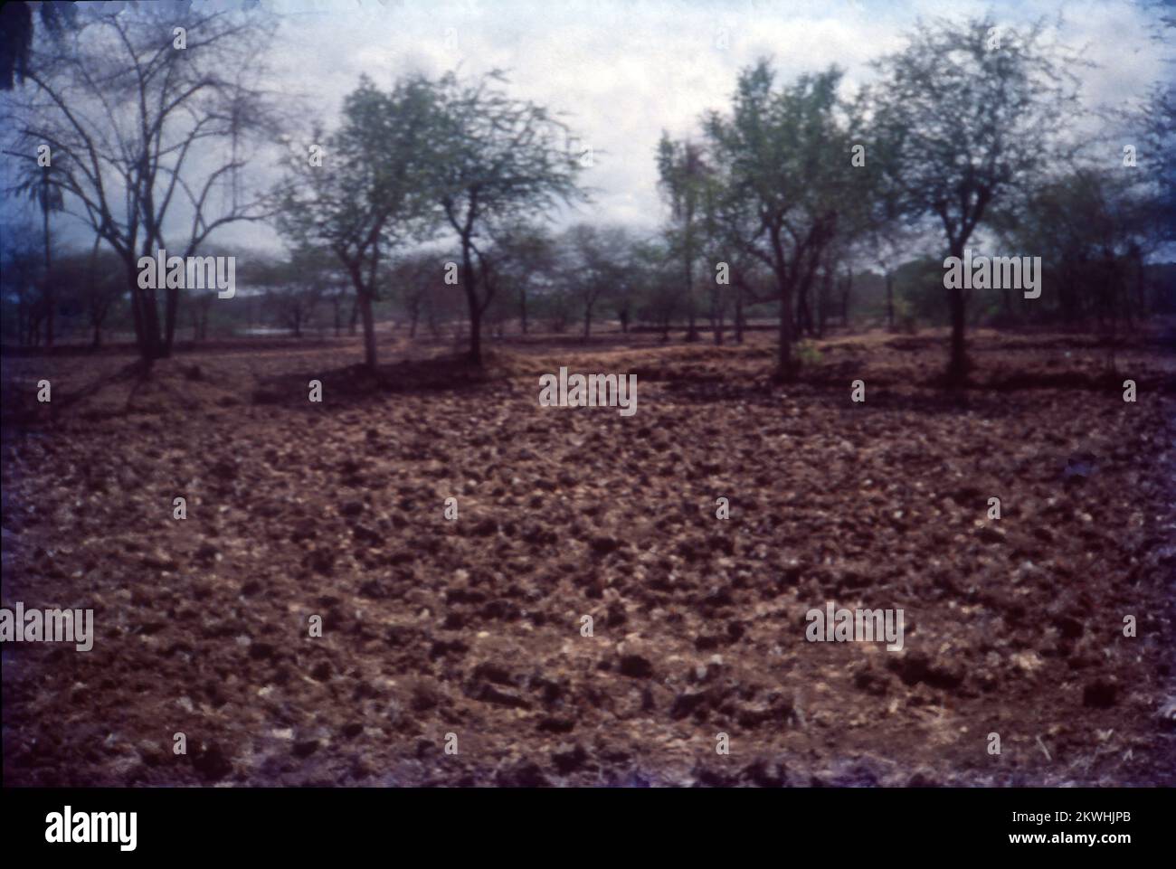 Intensive subsistence farming hi-res stock photography and images - Alamy