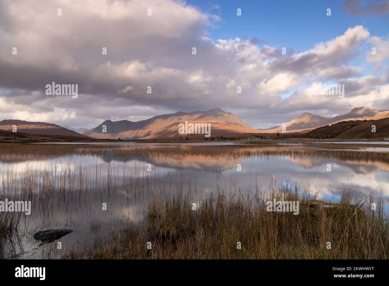 Loch Damh in the highlands of northwest Scotland Stock Photo - Alamy