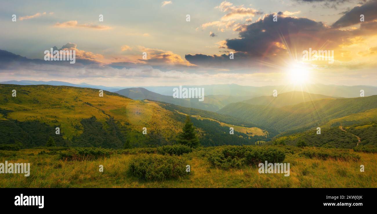 carpathian mountain range in summer at sunset. landscape with forested ...