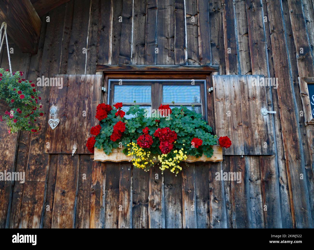 idyllic scene with a traditional Bavarian rustic alpine farmhouse with ...