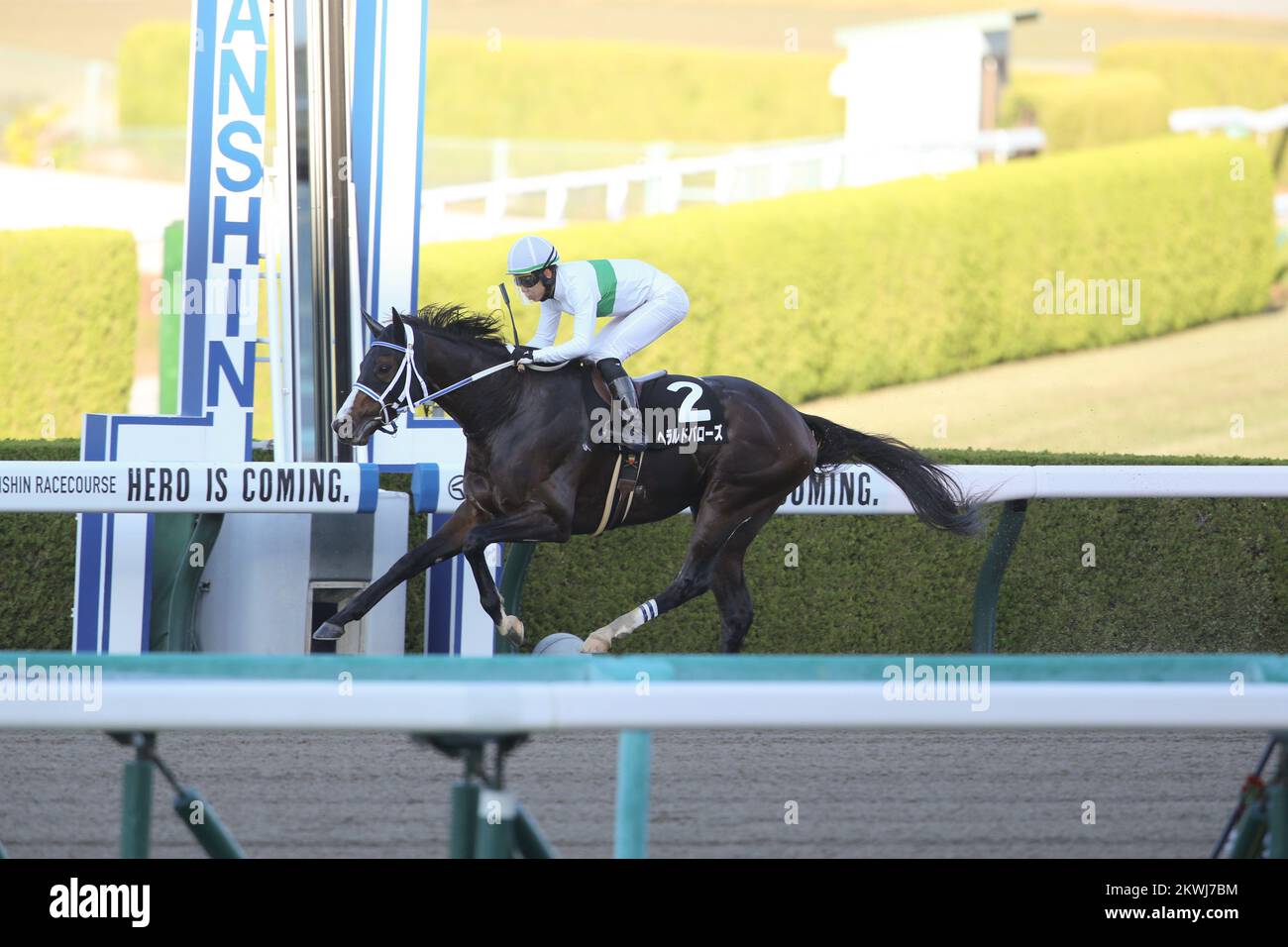 Hyogo, Japan. 26th Nov, 2022. Geraldo Barows and Kohei Matsuyama win the Ibaraki Stakes at ...