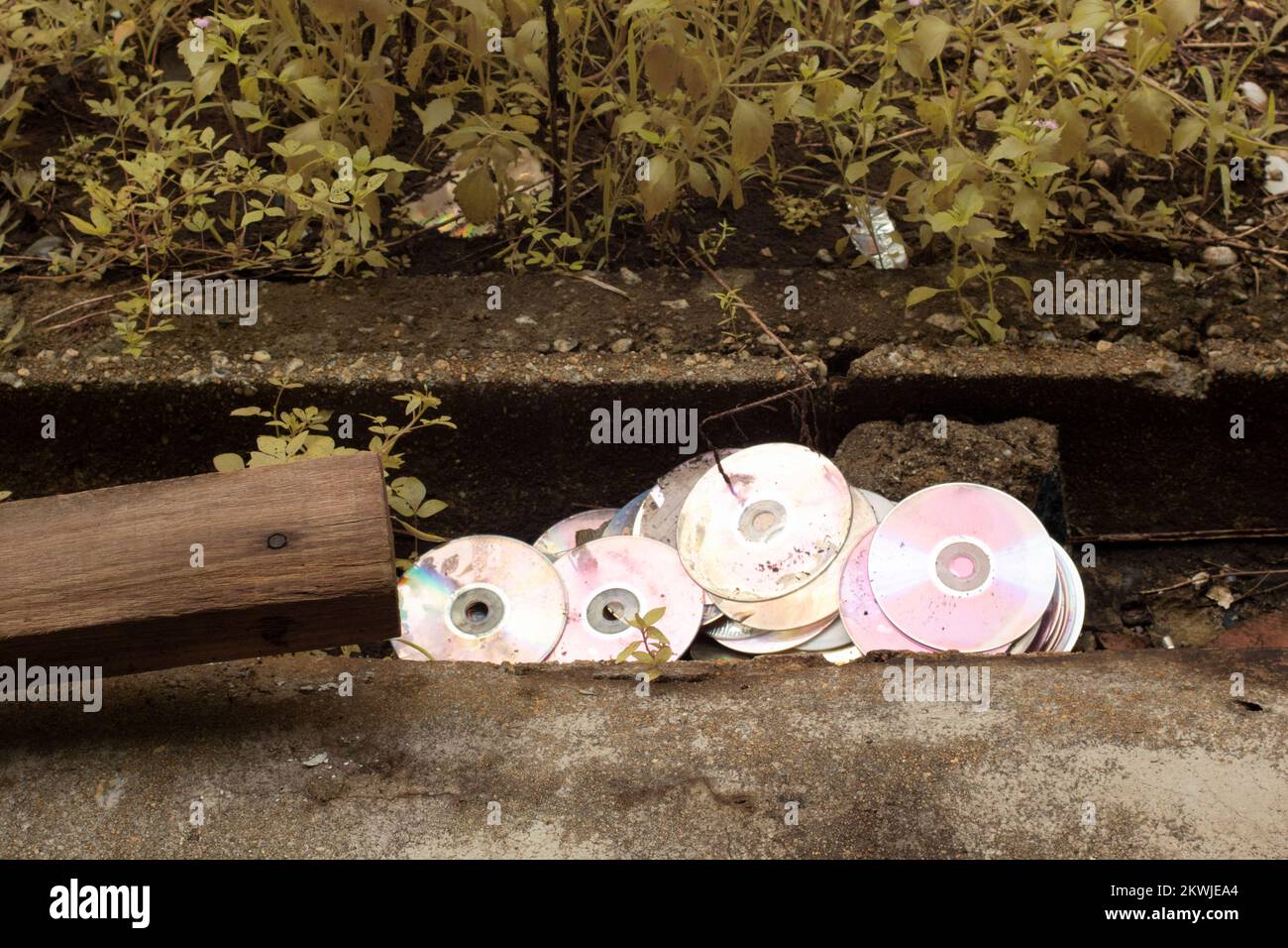 infrared image of the many copies of trash and dirty compact disc in ...
