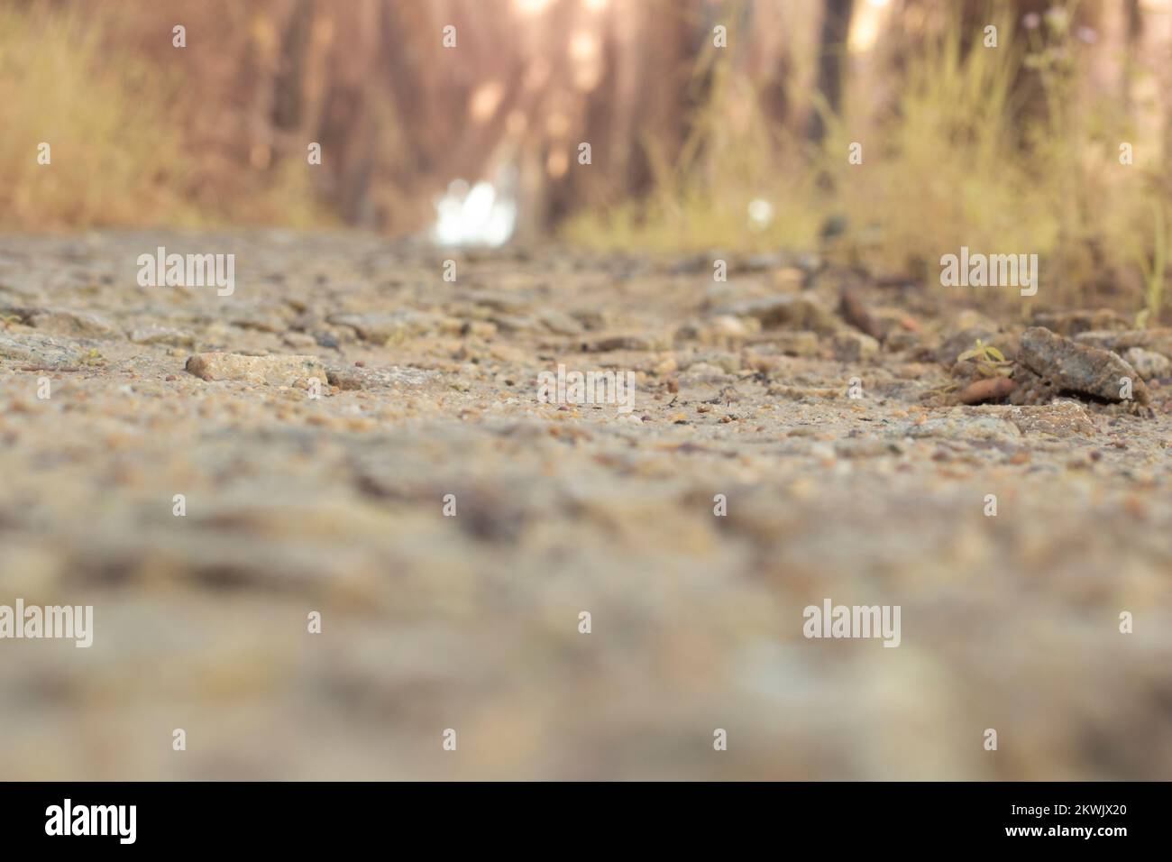 infrared image of the high angle shot view from the ground looking up ...